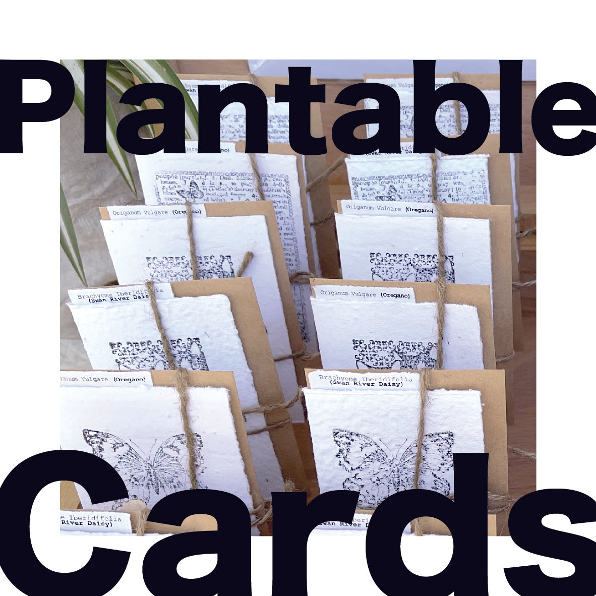 Plantable Cards – CHLO_STUDIO